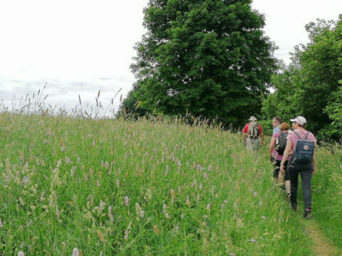 Über Sonja - Sonja Heinemann